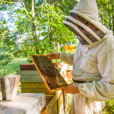 NKBA - Beekeeping 101 School | 2026