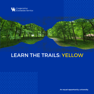 Learn the Trails - Yellow Trails